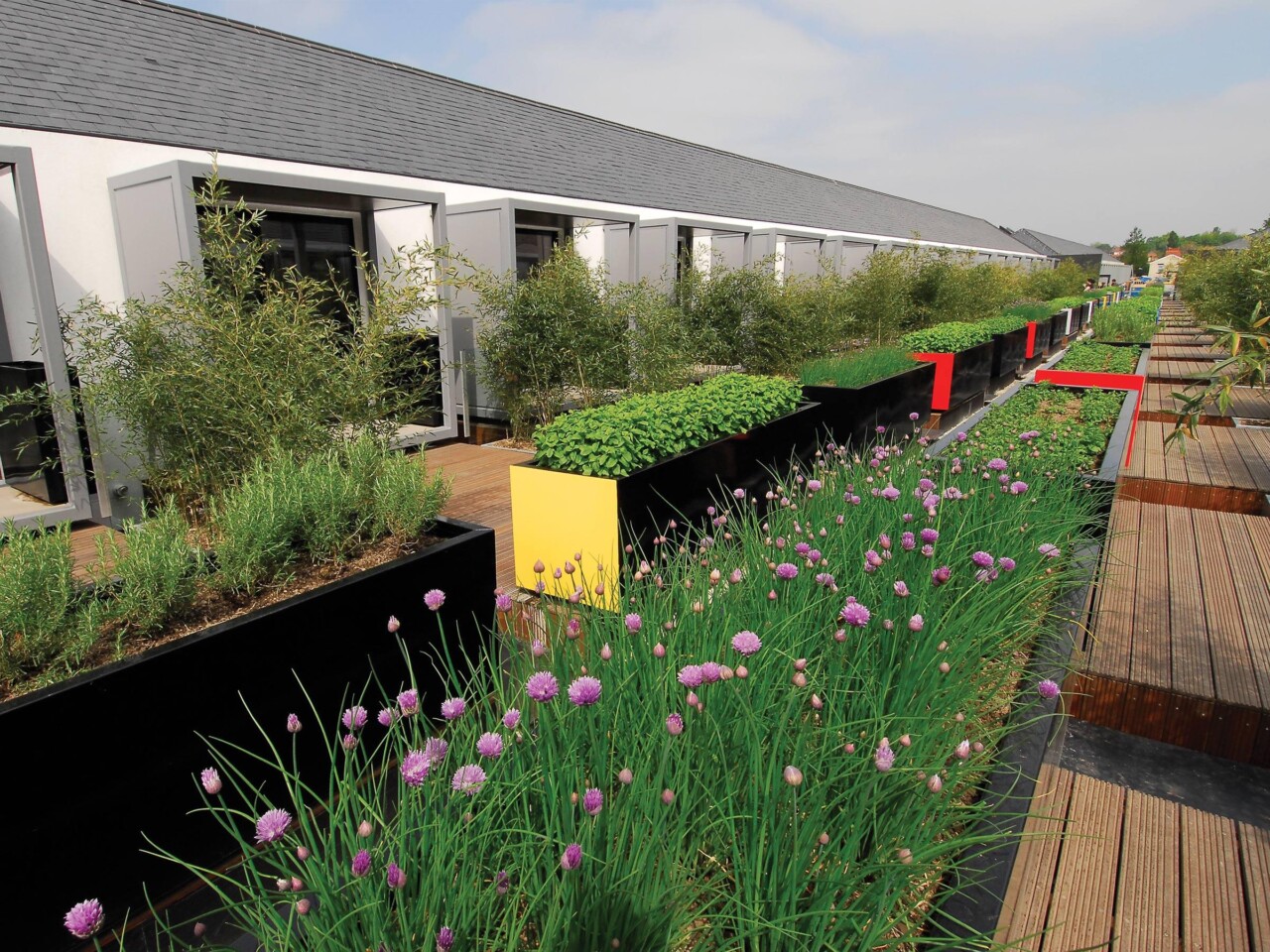 Chimney Pot Park, Salford | Urban Splash