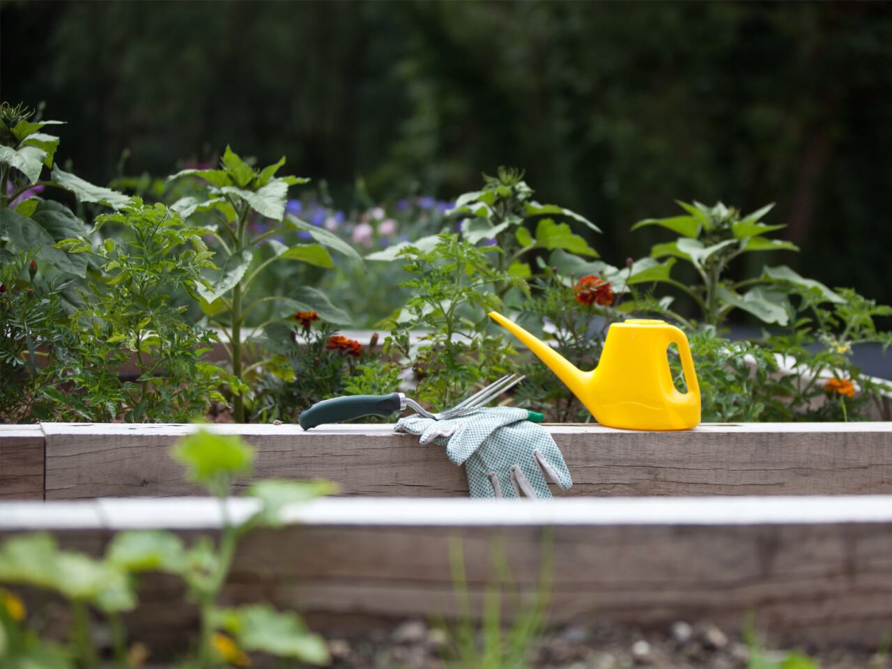 Lakeshore, Bristol | Urban Splash