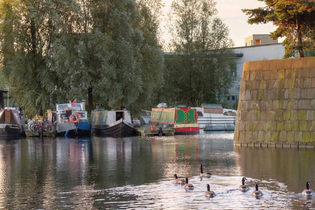 The regeneration of New Islington | Urban Splash