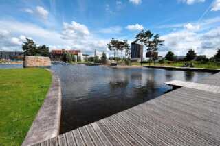 The regeneration of New Islington | Urban Splash